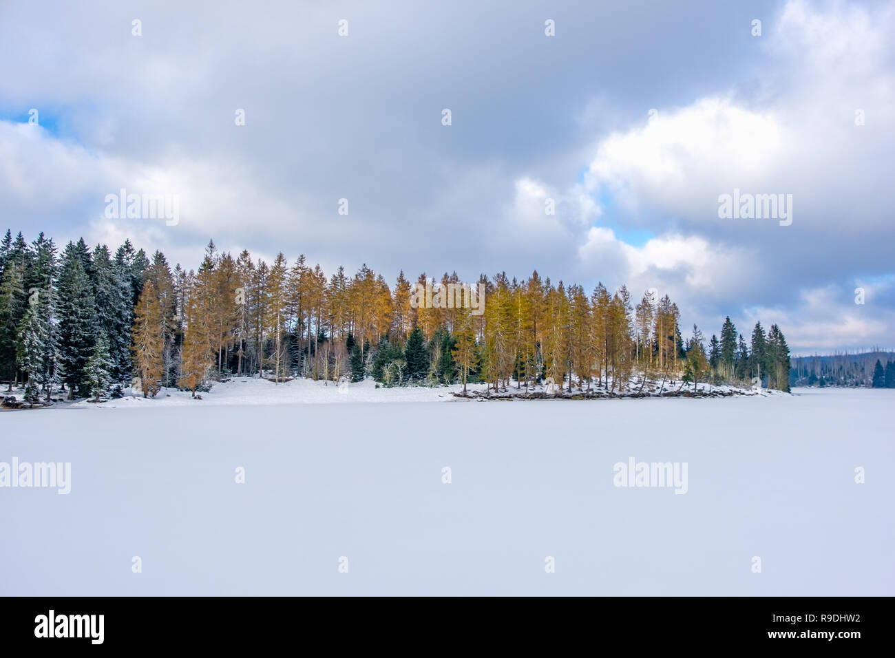 Nationalpark Harz im Winter Oderteich Stock Photo - Alamy