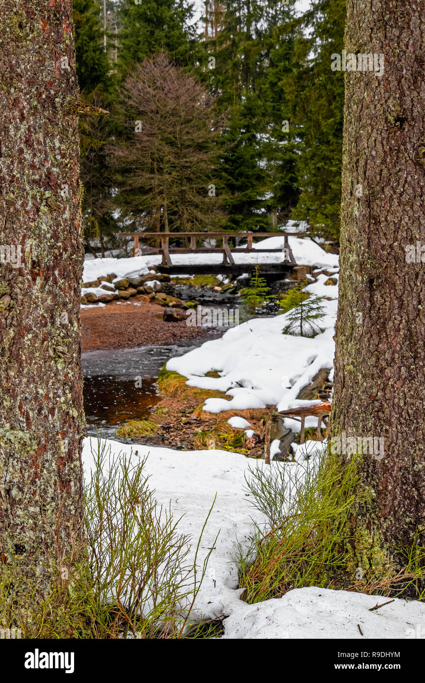 Nationalpark Harz im Winter Oderteich Stock Photo - Alamy