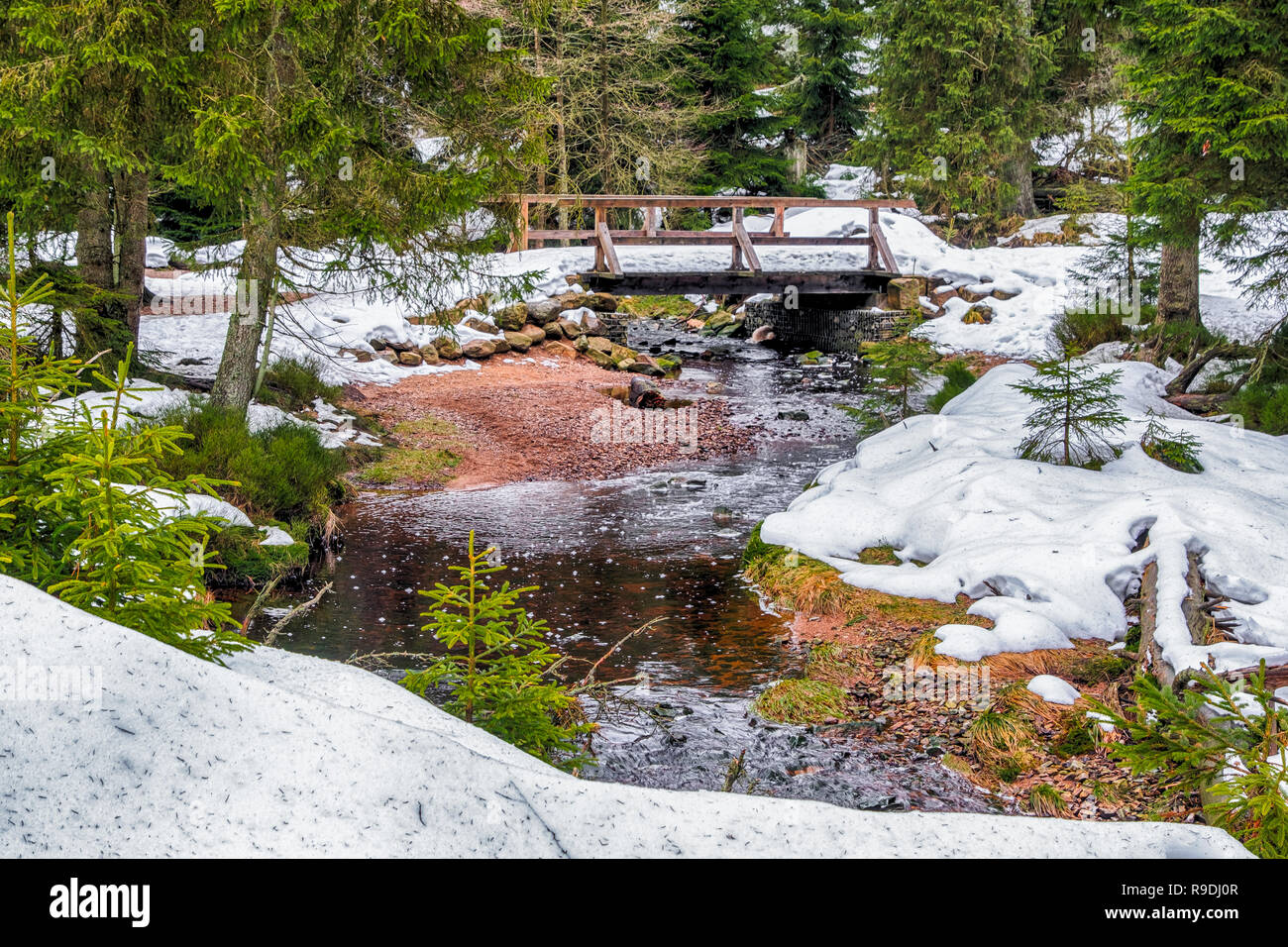 Nationalpark Harz im Winter Oderteich Stock Photo - Alamy