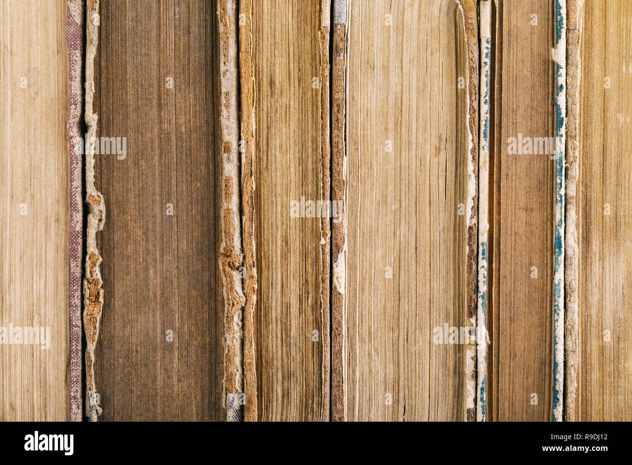 Library texture hi-res stock photography and images - Alamy