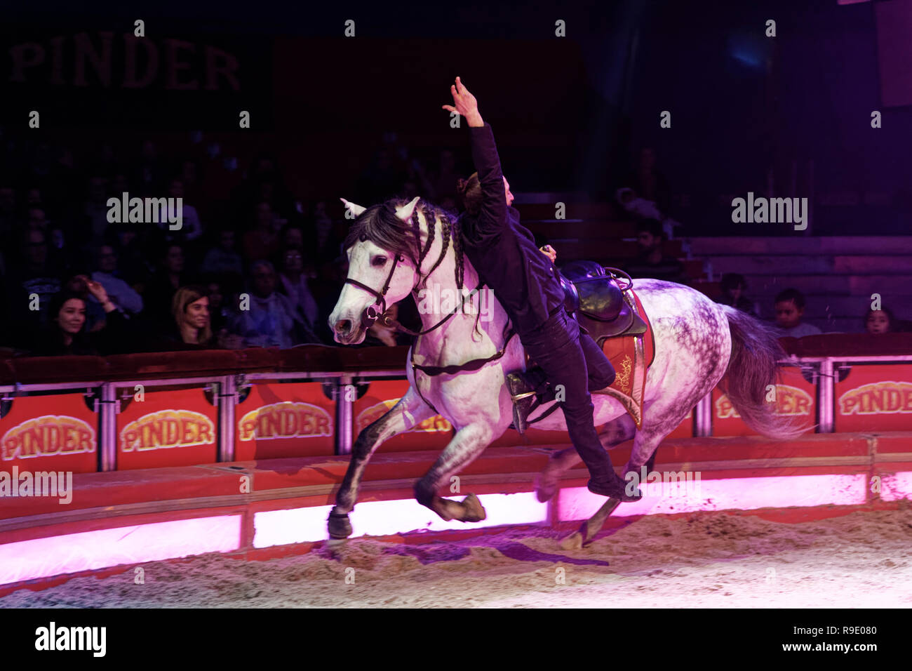 Fake horses hi-res stock photography and images - Alamy