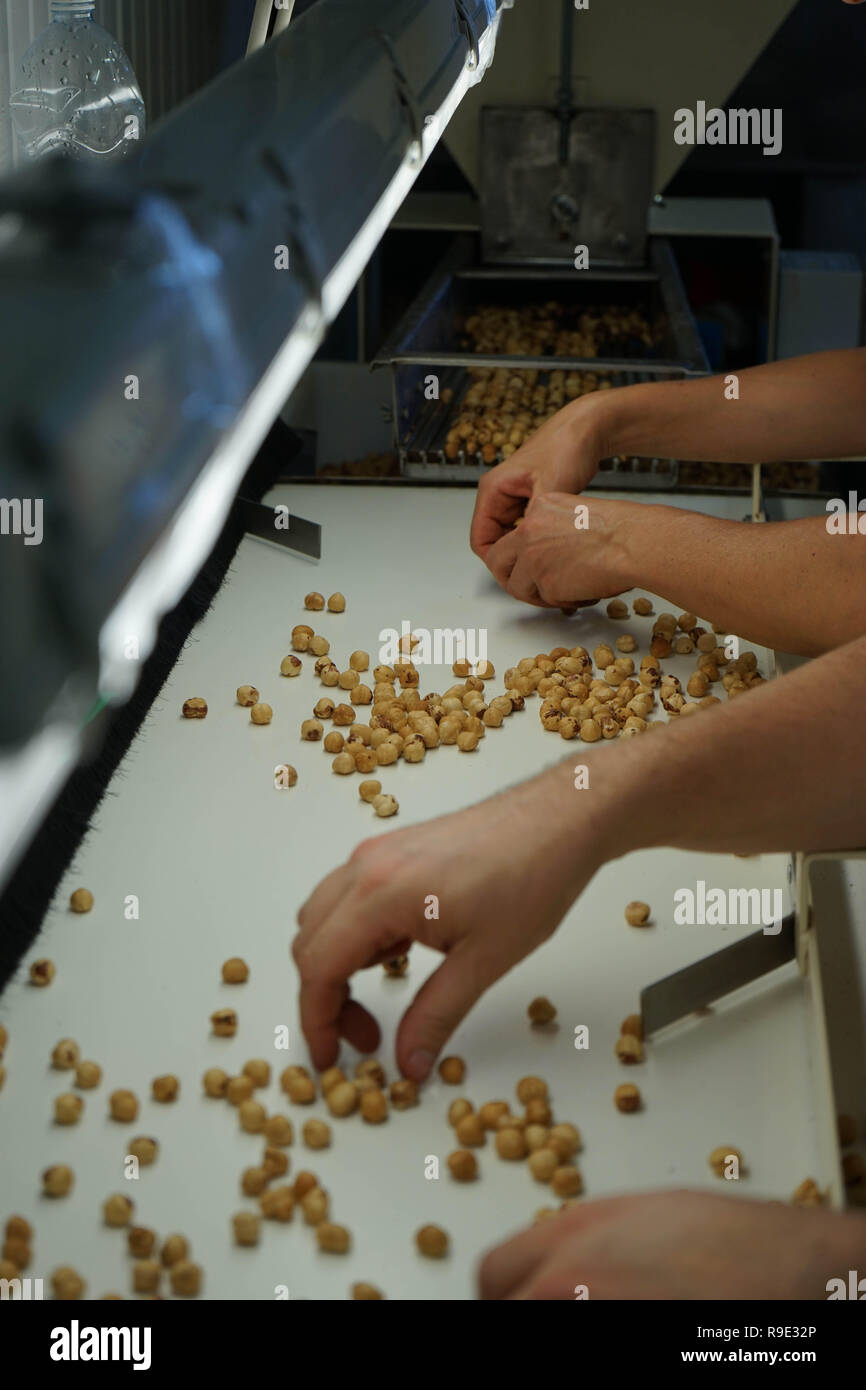 Selection of toasting hazelnuts Stock Photo - Alamy