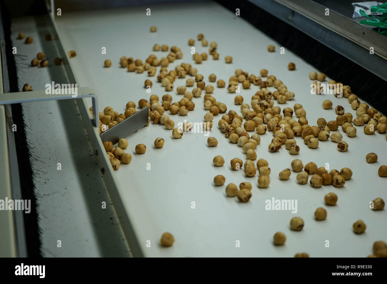 Hazel processing hi-res stock photography and images - Alamy