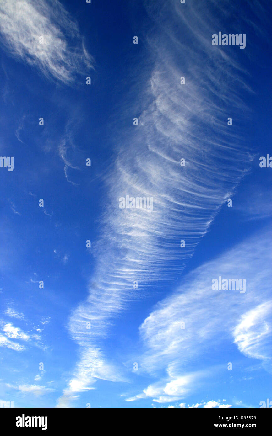 Swirl shapes hi-res stock photography and images - Alamy