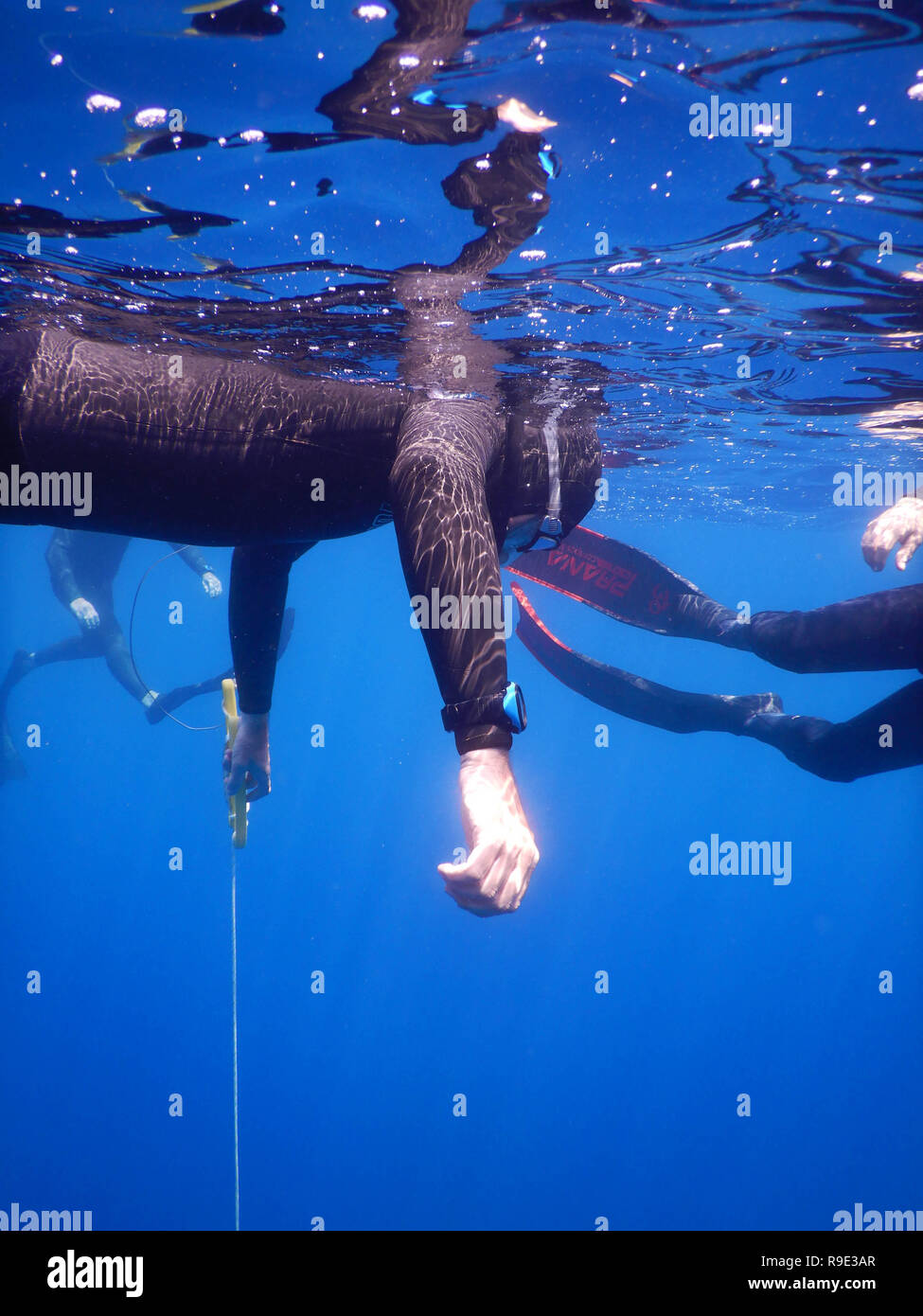 Free diving in the sea at Noli, Liguria - Italy Stock Photo - Alamy