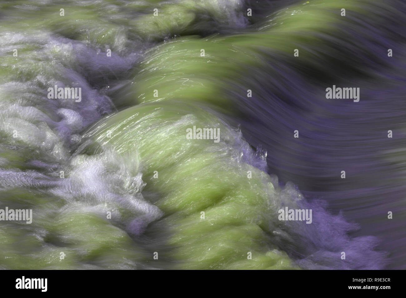 Green wave between the tides in shallow fast flowing stream Stock Photo ...