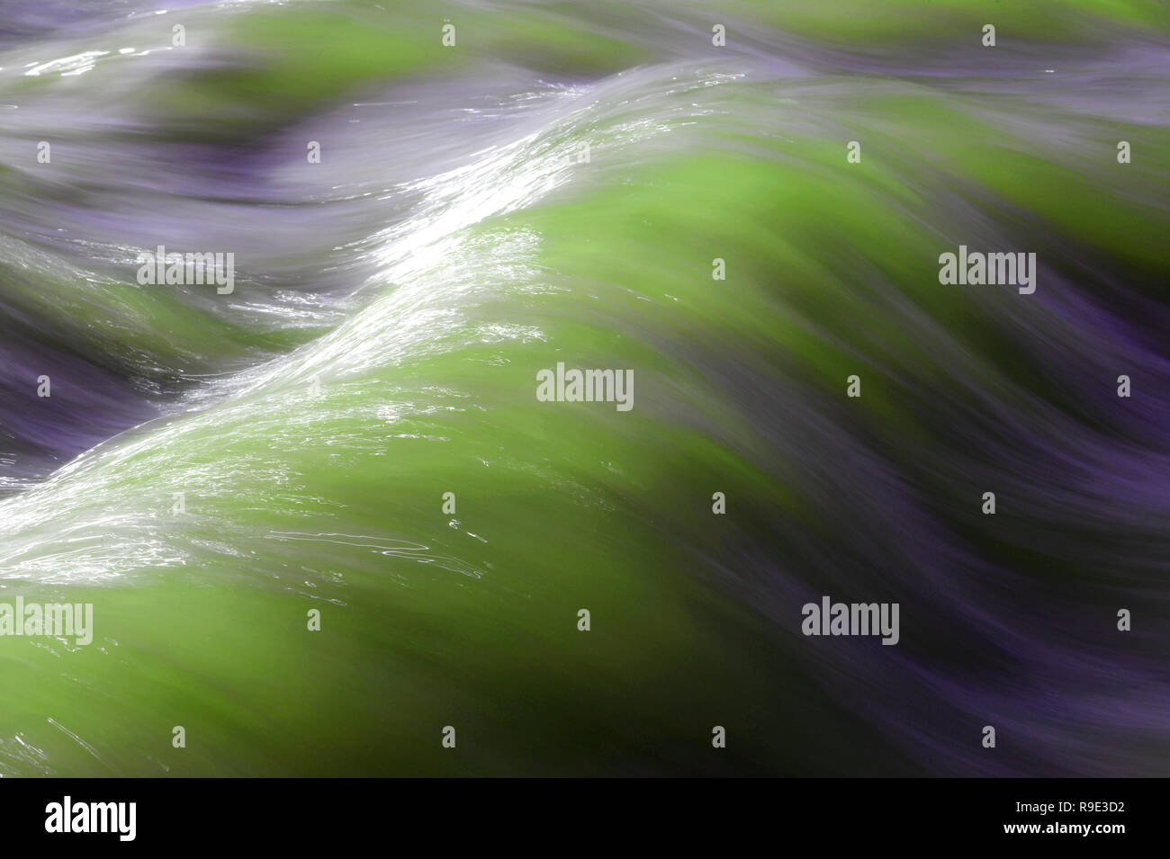 Green wave between the tides in shallow fast flowing stream Stock Photo ...