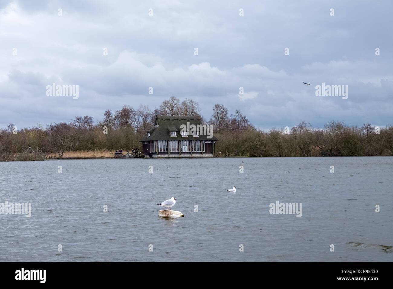 Norfolk, England, 3 Apr 2018: A view from the water of the Norfolk ...