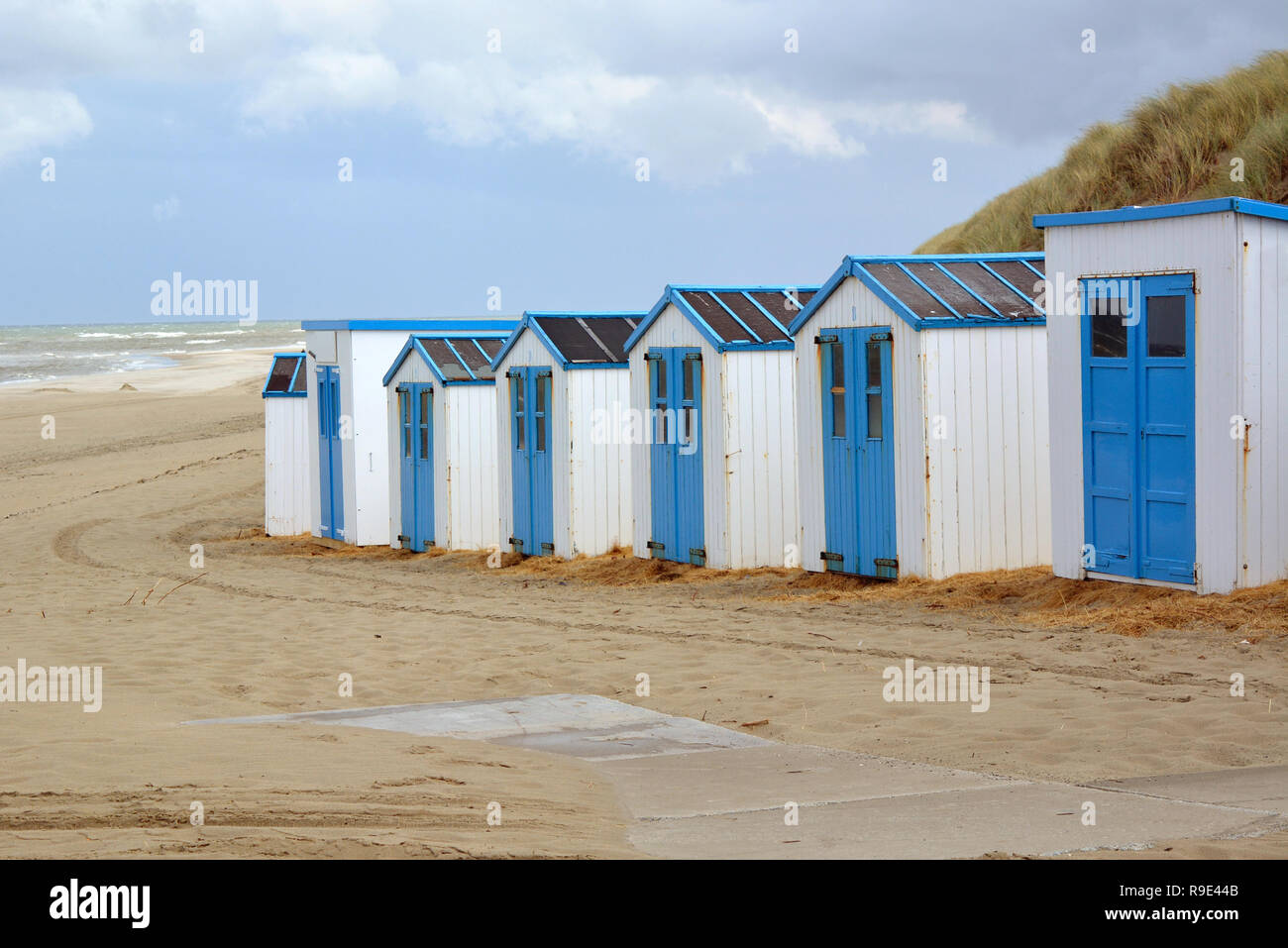 Row of white and blue beach sheds on the beach of Texel in the ...