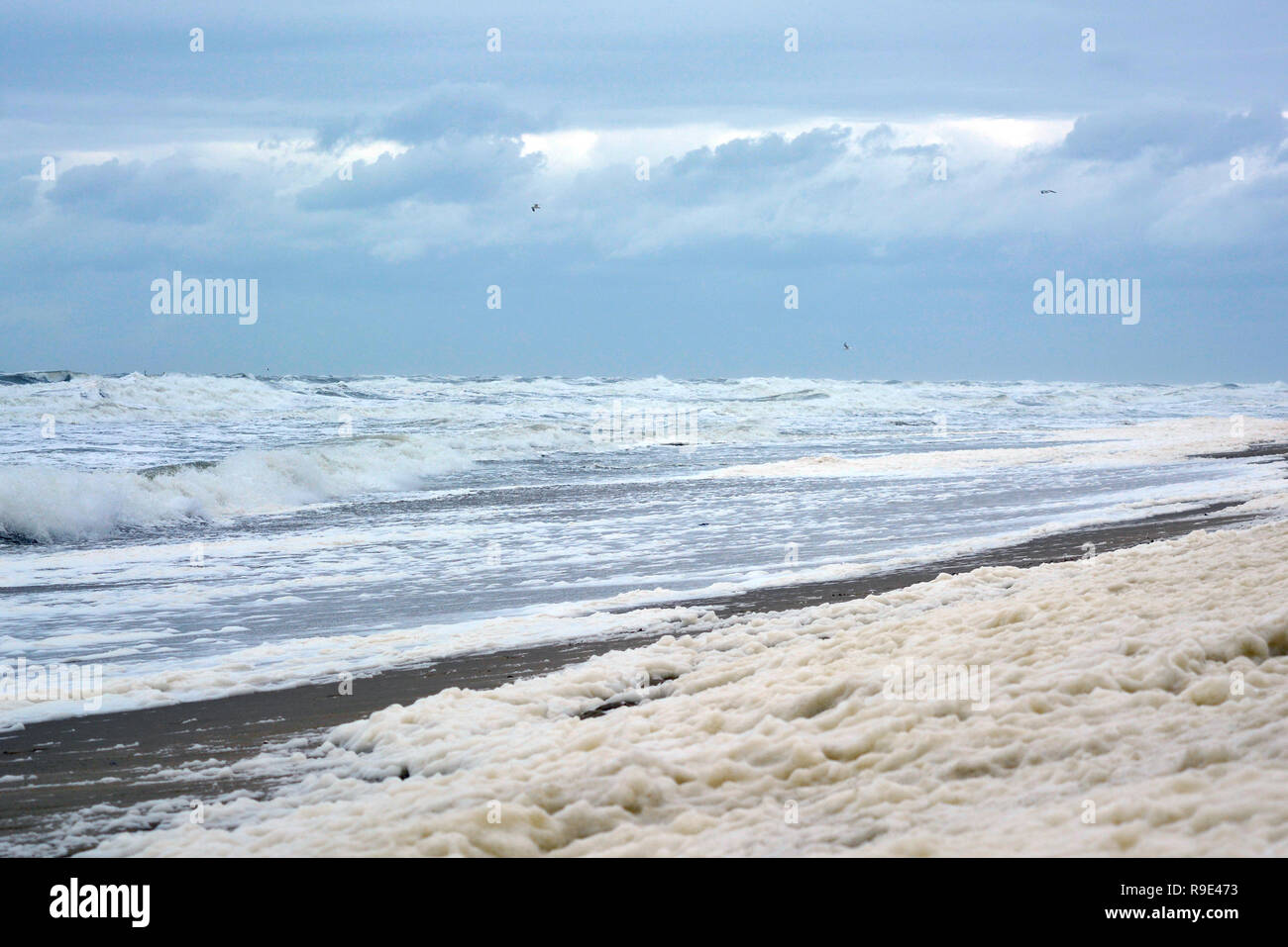 Ocean foam on sand beach during mild sea storm with waves in background ...