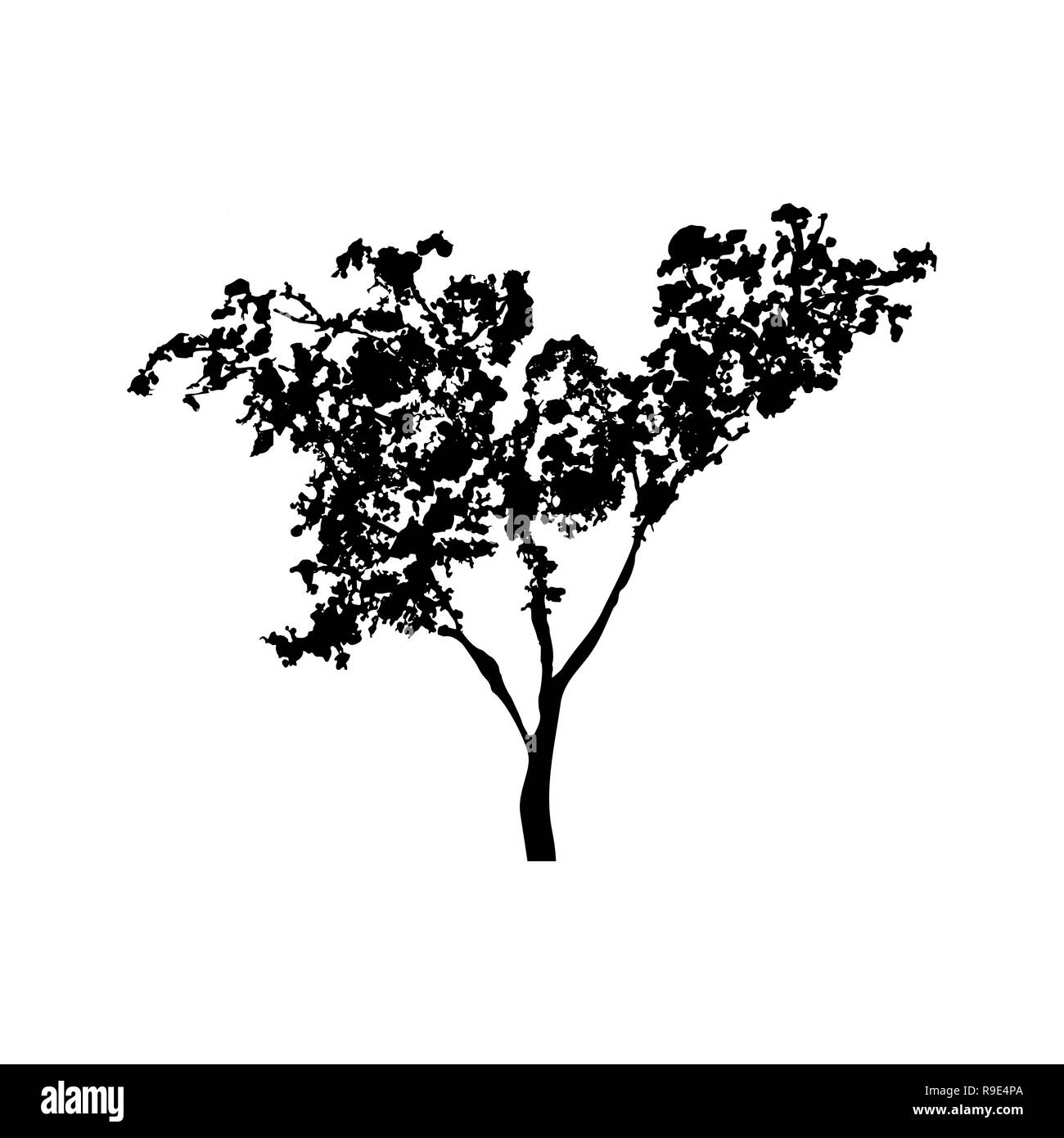 Green tree silhouette, handdrawn watercolor splashes, isolated on white ...