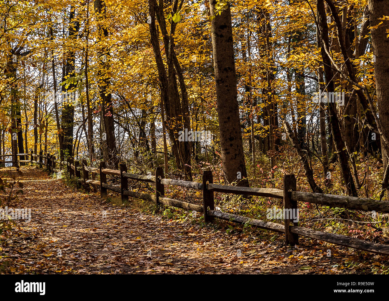 Hiking path in autumn Stock Photo - Alamy