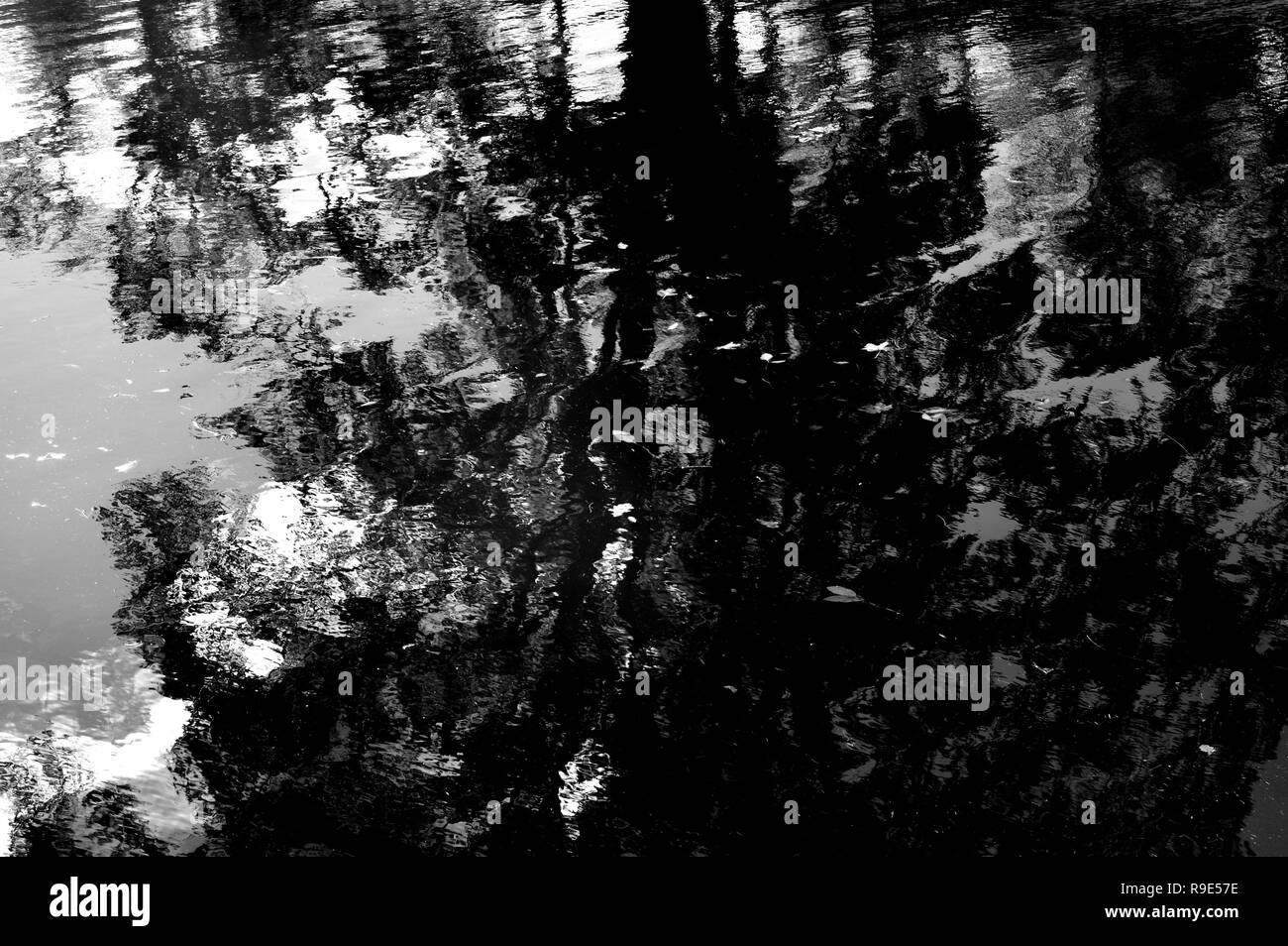 Reflections in the pond Stock Photo - Alamy