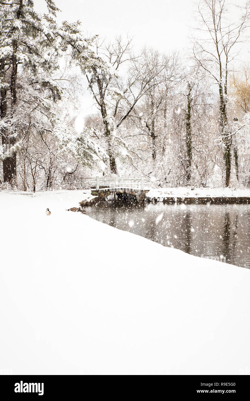 Pond season hi-res stock photography and images - Alamy