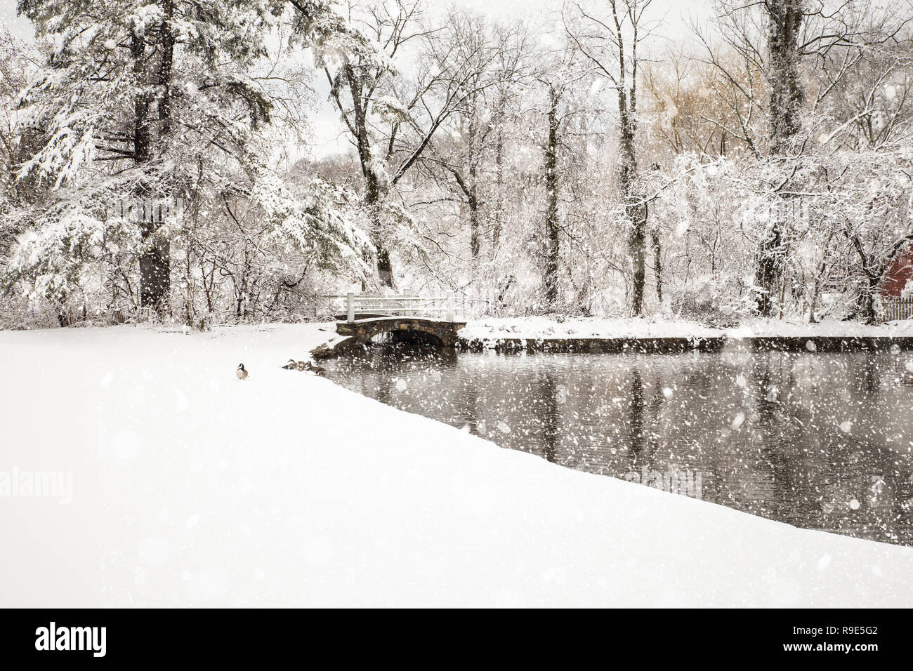 Photograph of snowy countryside hi-res stock photography and images - Alamy