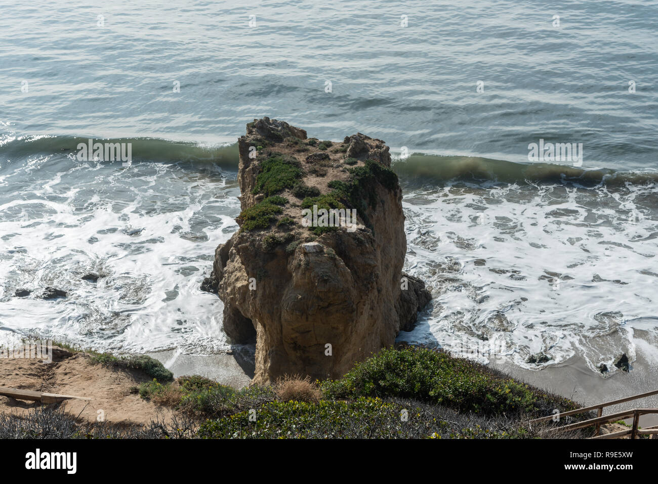 Are Dogs Allowed At El Matador State Beach