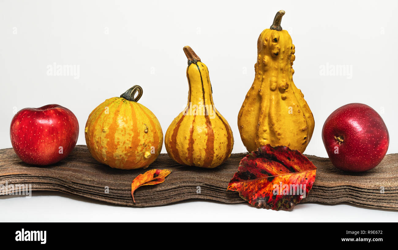 Pumpkins, apples and autumn leaves on a wood with white background ...