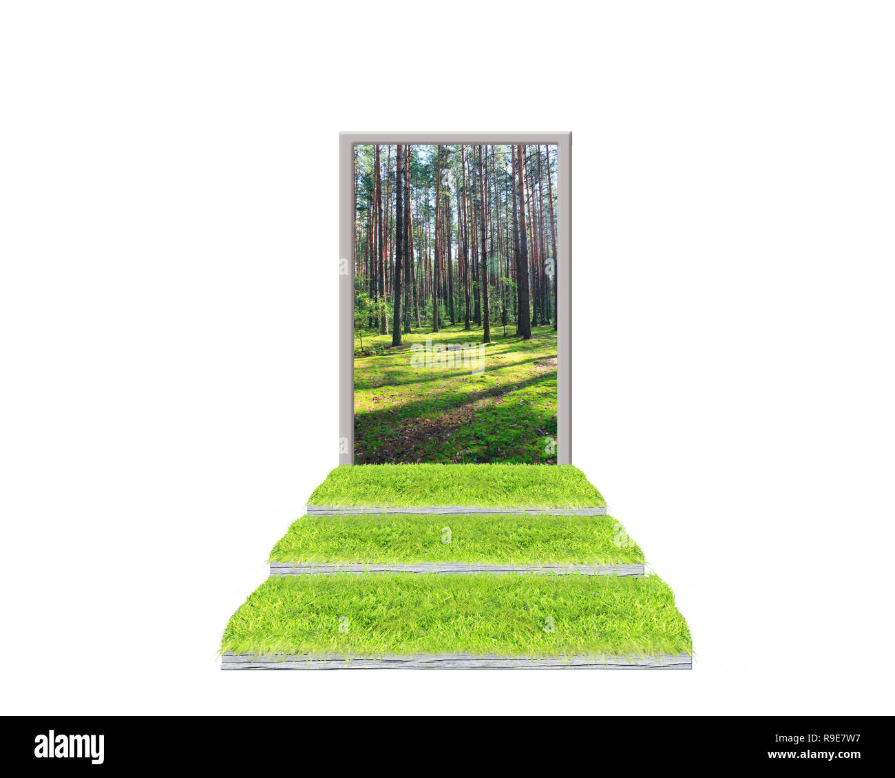 Stairs from green grass leading to forest isolated. Ecological concept ...