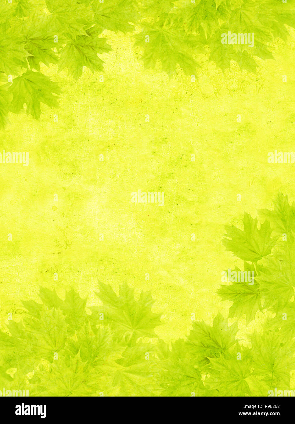 Grunge background with spring leaves Stock Photo - Alamy
