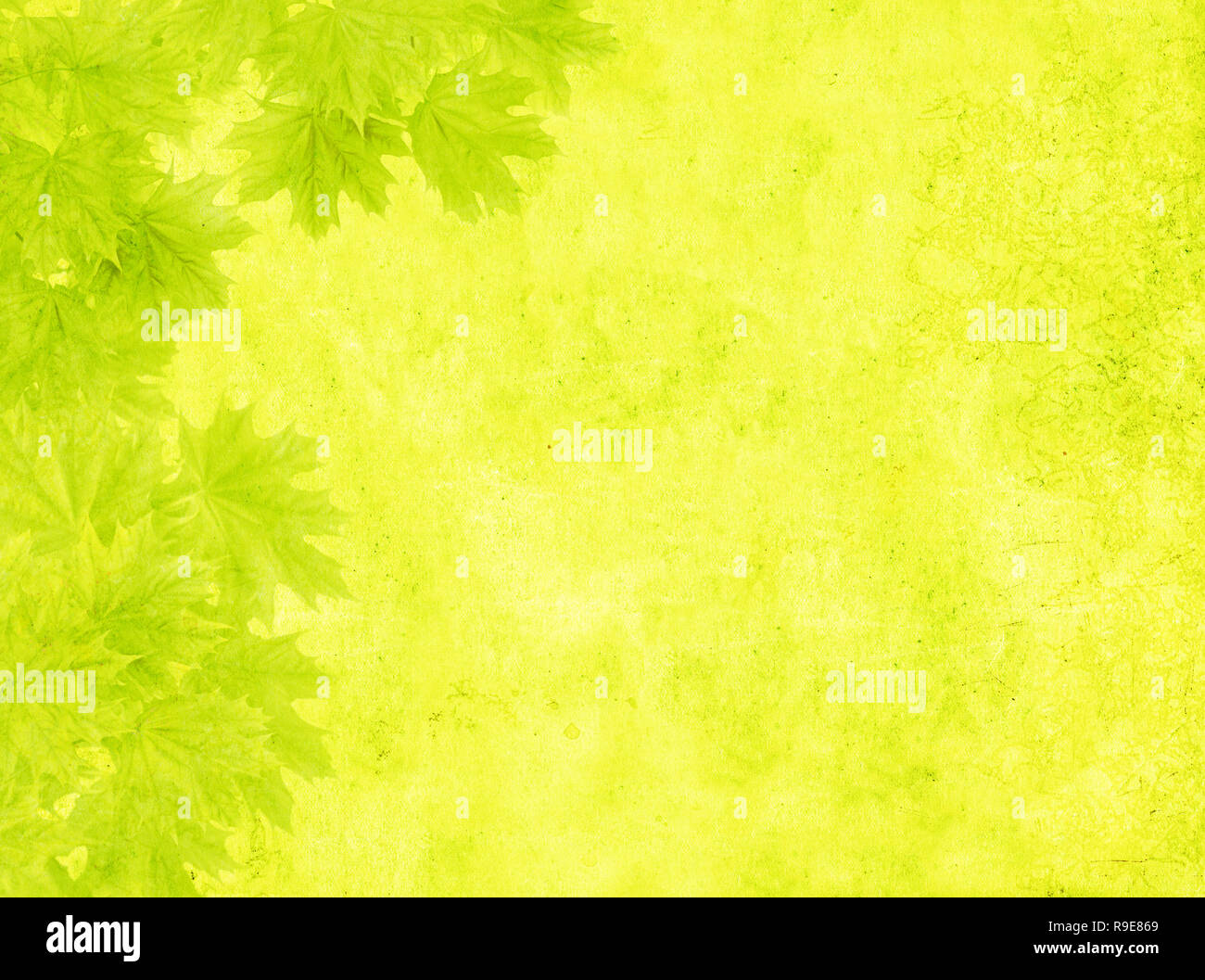 Grunge background with spring leaves Stock Photo - Alamy