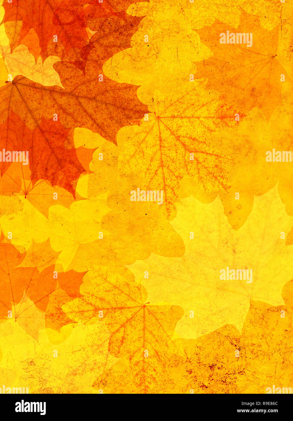 Grunge background with autumn leaves Stock Photo - Alamy