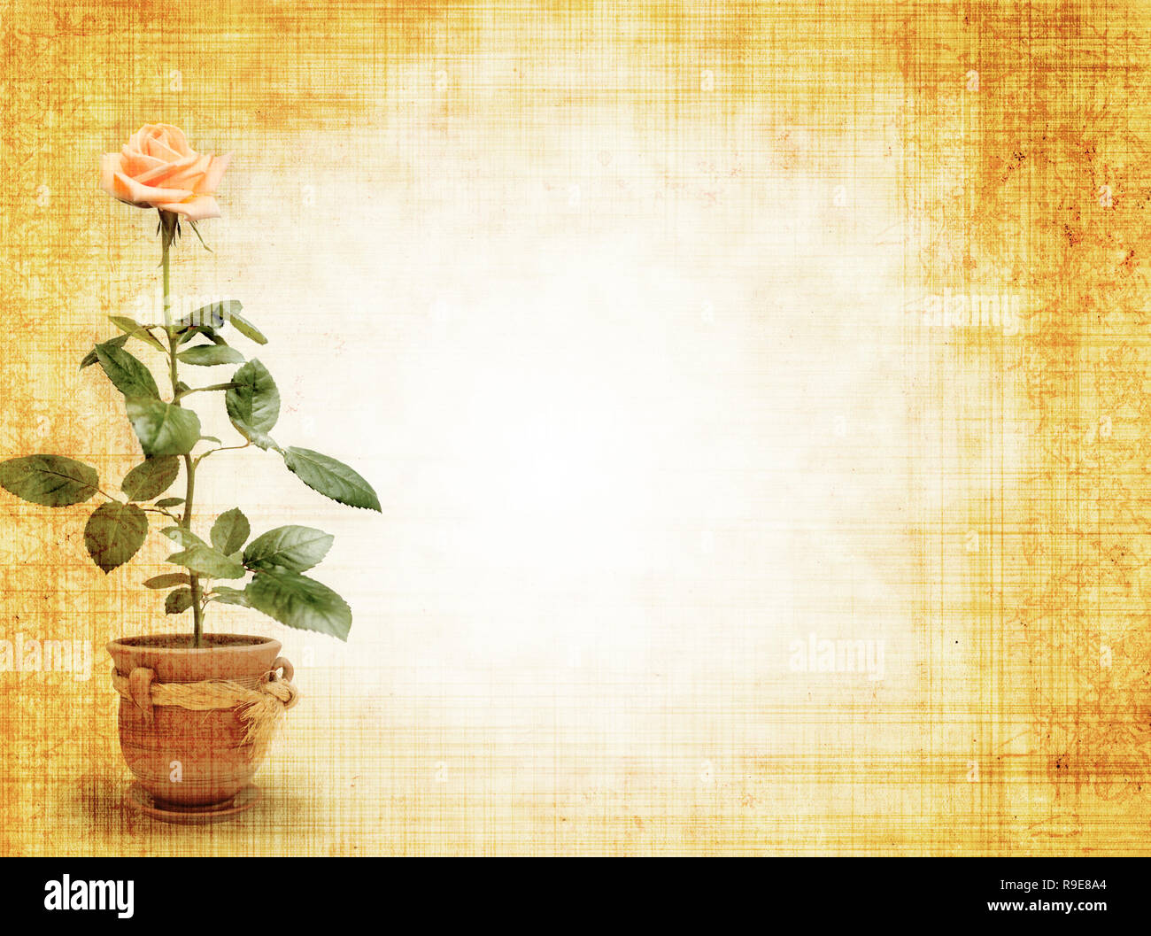 Rose Paper Texture High Resolution Stock Photography and Images - Alamy