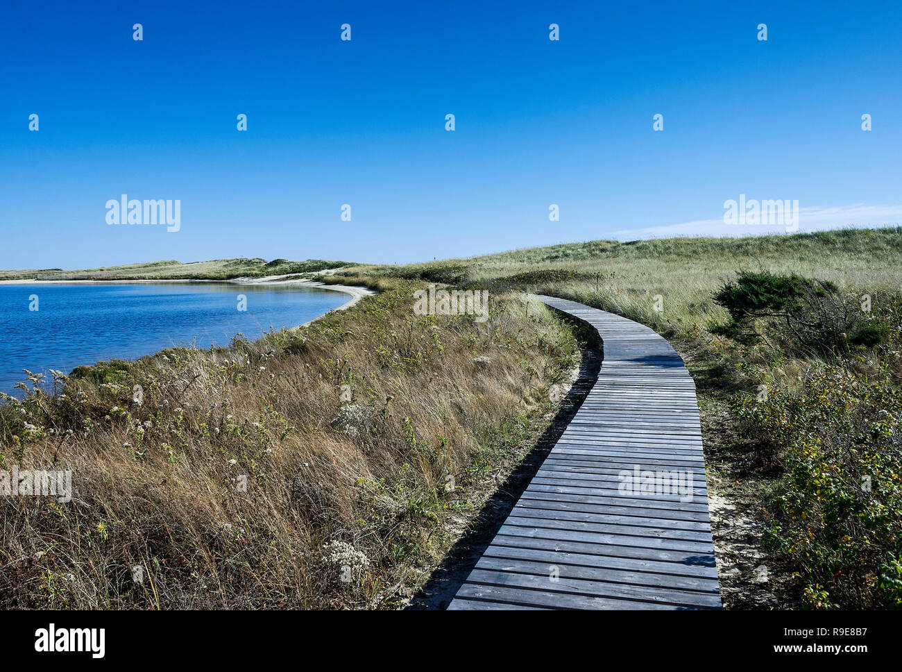 Walking path through Long Point Wildlife Refuge, West Tisbury, Martha's ...