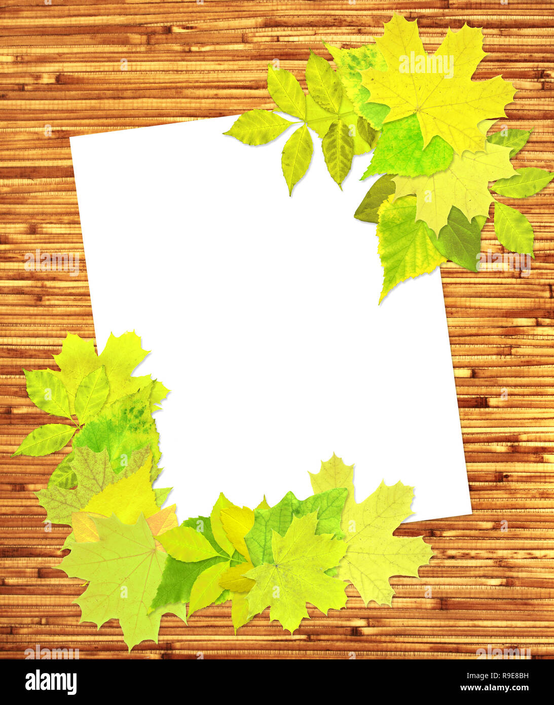 Japanese reed mat, paper sheet and summer leafs Stock Photo - Alamy