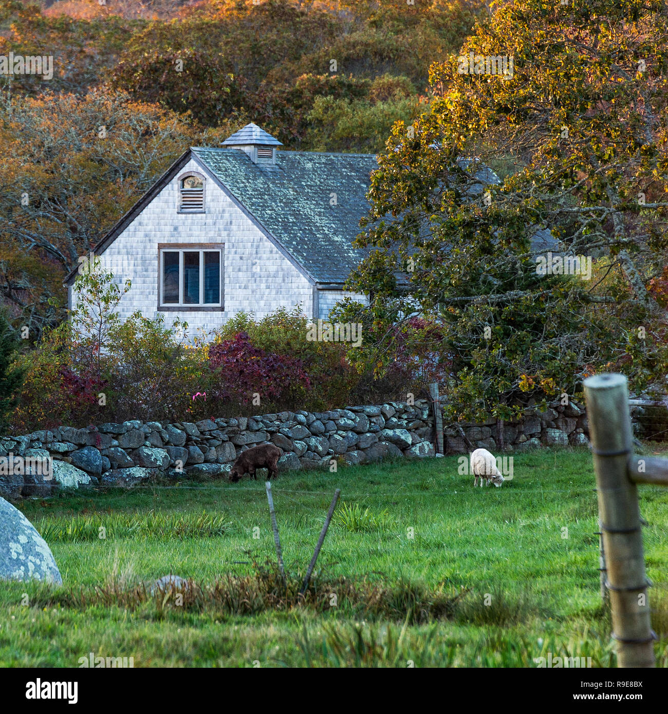 Country countryside rural pastoral pasture hi-res stock photography and ...
