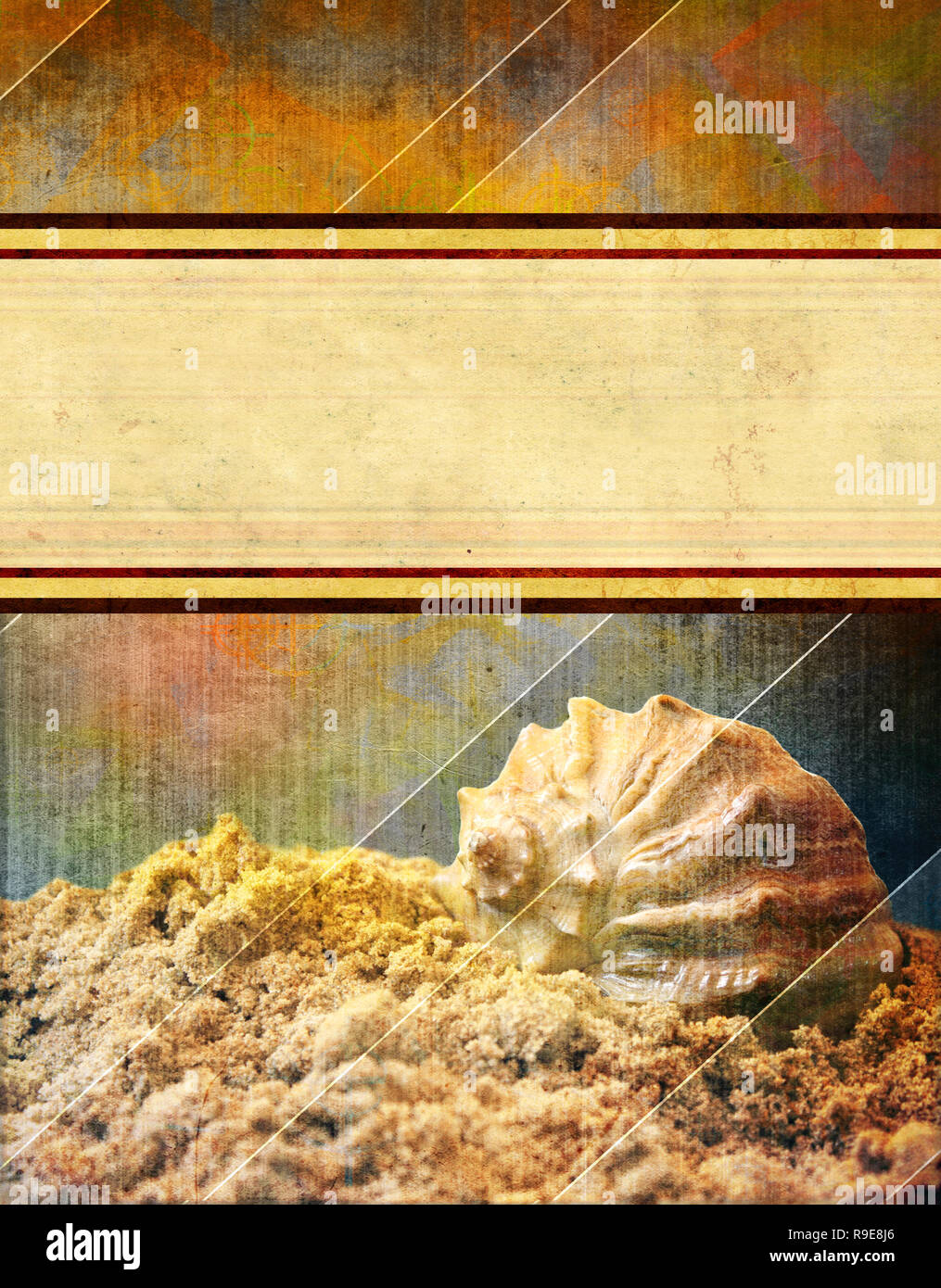 Vacations - grunge background with shell. Paper texture Stock Photo - Alamy