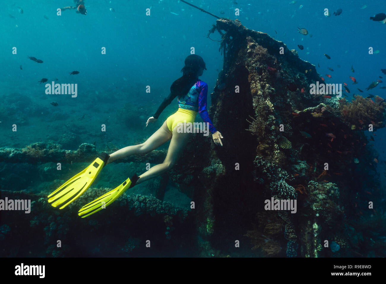 Girl scuba diver caribbean reef hi-res stock photography and images - Alamy
