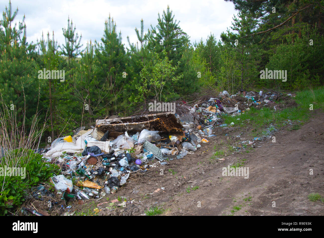 Pollution of the forest by household rubbish. A pile of garbage in the ...