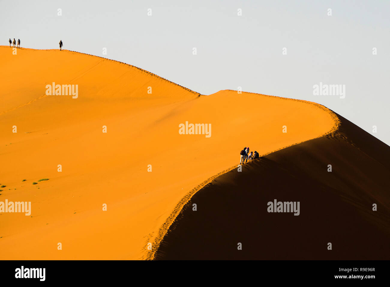 Big daddy hi-res stock photography and images - Alamy