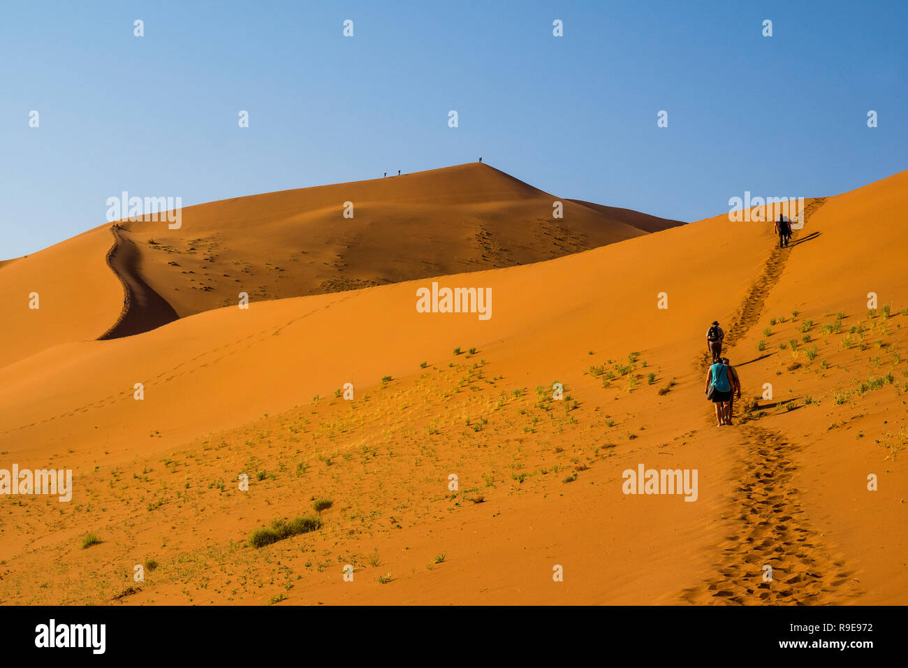 Namibia - Big Daddy am Sossusvlei National Park Stock Photo - Alamy