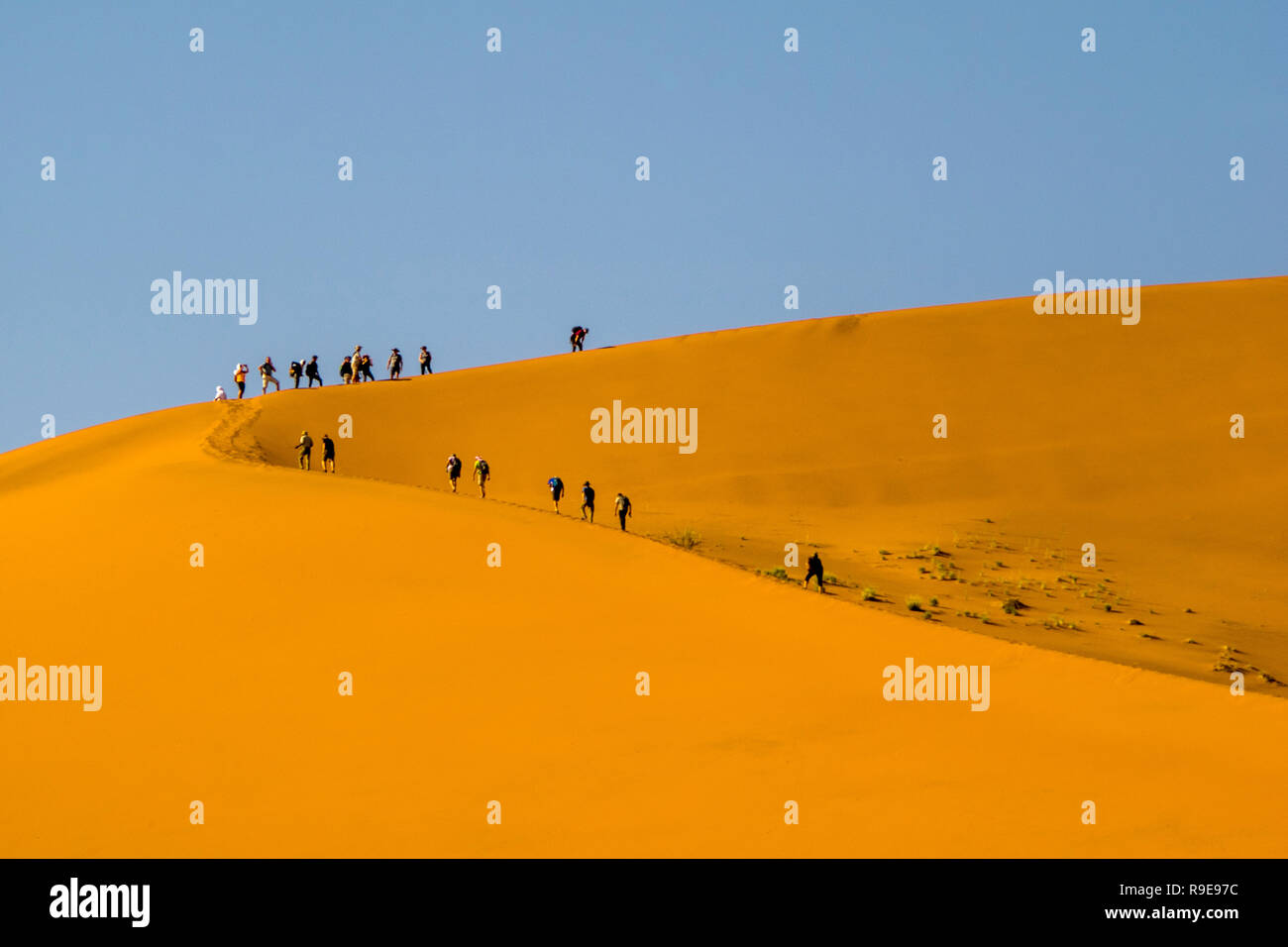 Namibia - Big Daddy am Sossusvlei National Park Stock Photo - Alamy