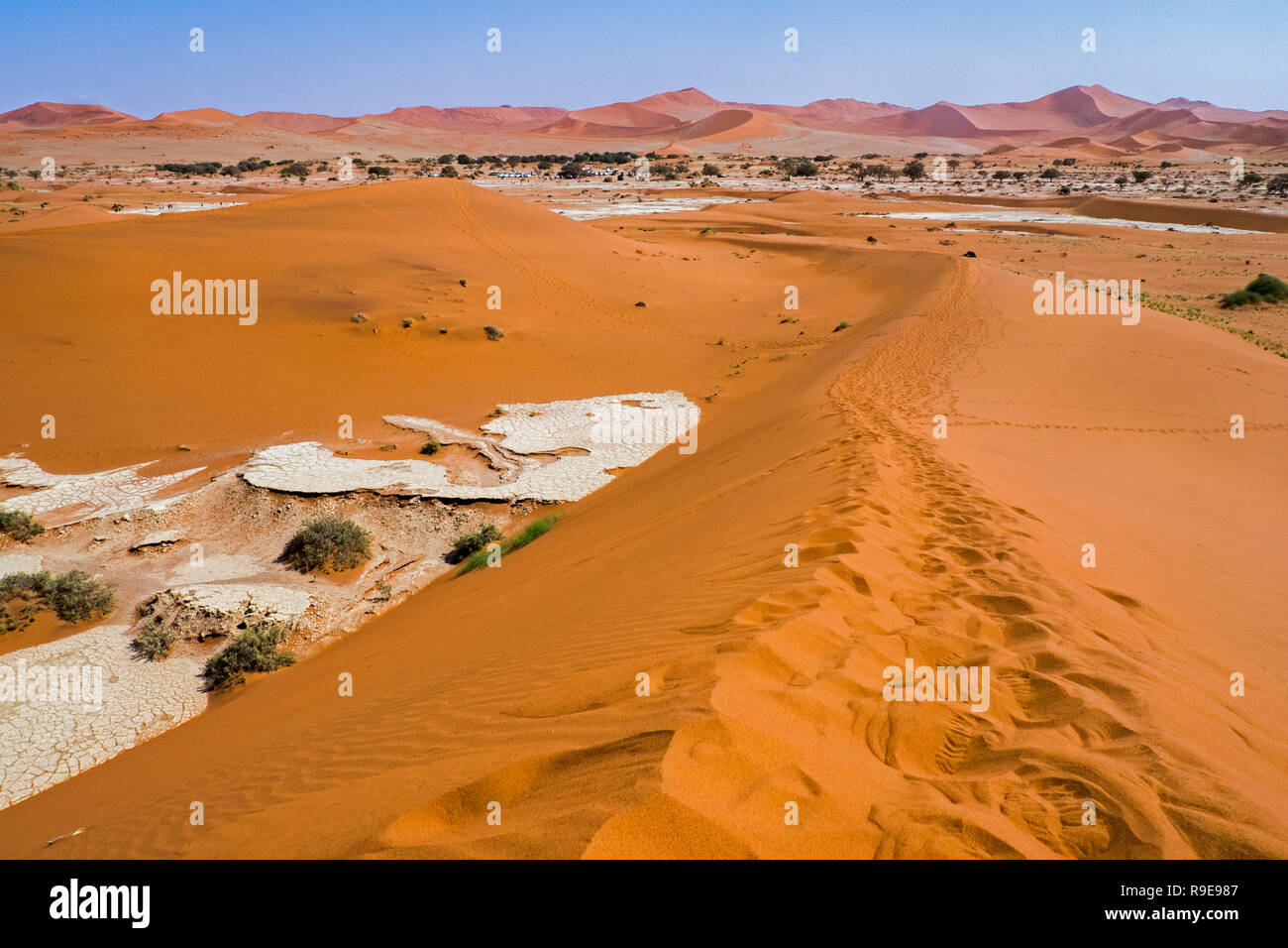 Big daddy namibia hi-res stock photography and images - Alamy