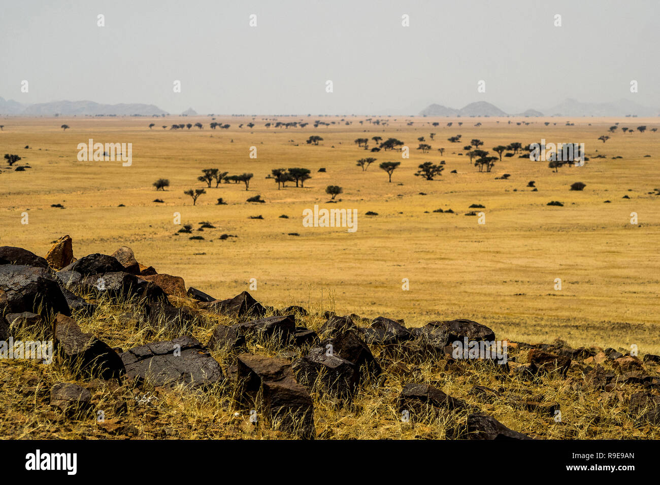 Namibia - Singing Stones Stock Photo - Alamy
