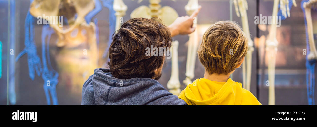 Dad and son are watching the skeletons of ancient and modern people ...