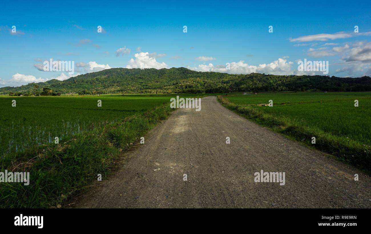 Field roadside hi-res stock photography and images - Alamy