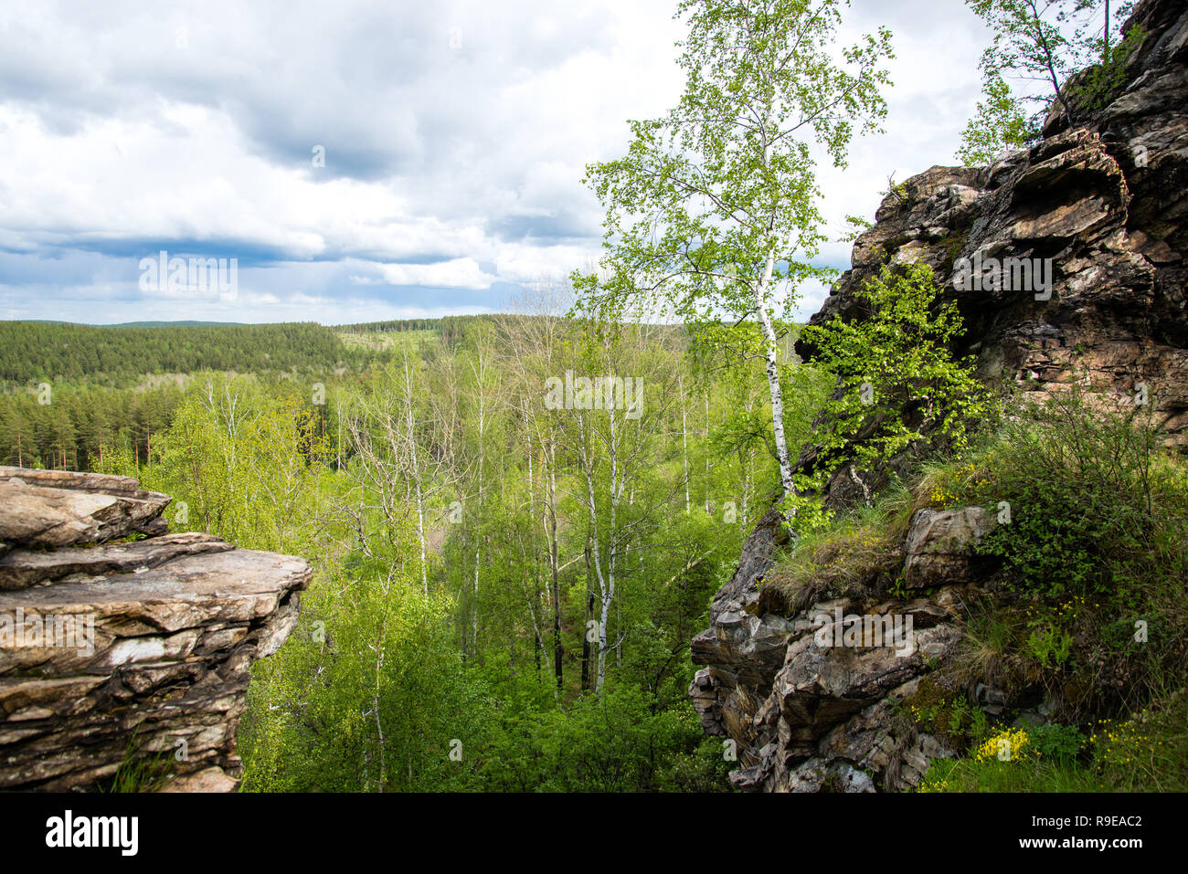 View on taiga. Rocks in the forest of Siberia Stock Photo - Alamy