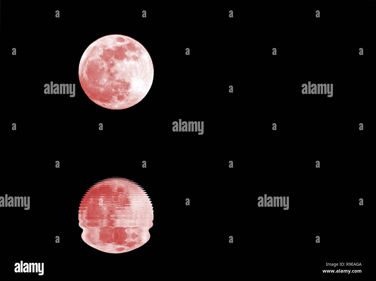 beautiful full red moon and lunar reflection on the surface of the ...
