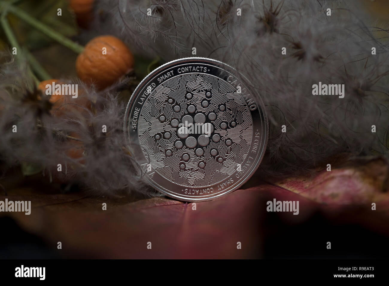 Cardano crypto hi-res stock photography and images - Alamy