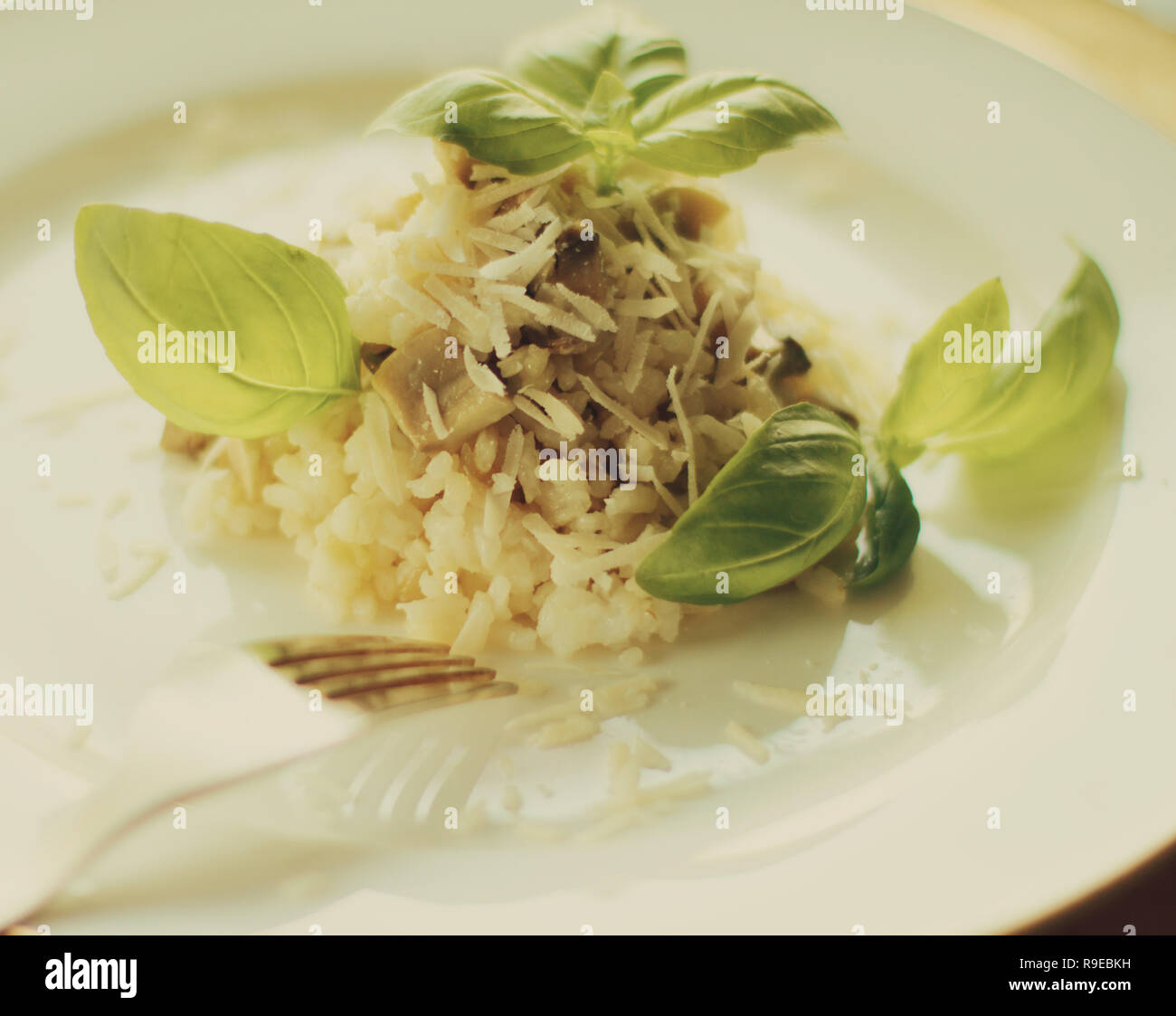 european and mediterranean cuisine styled concept - mushroom risotto ...