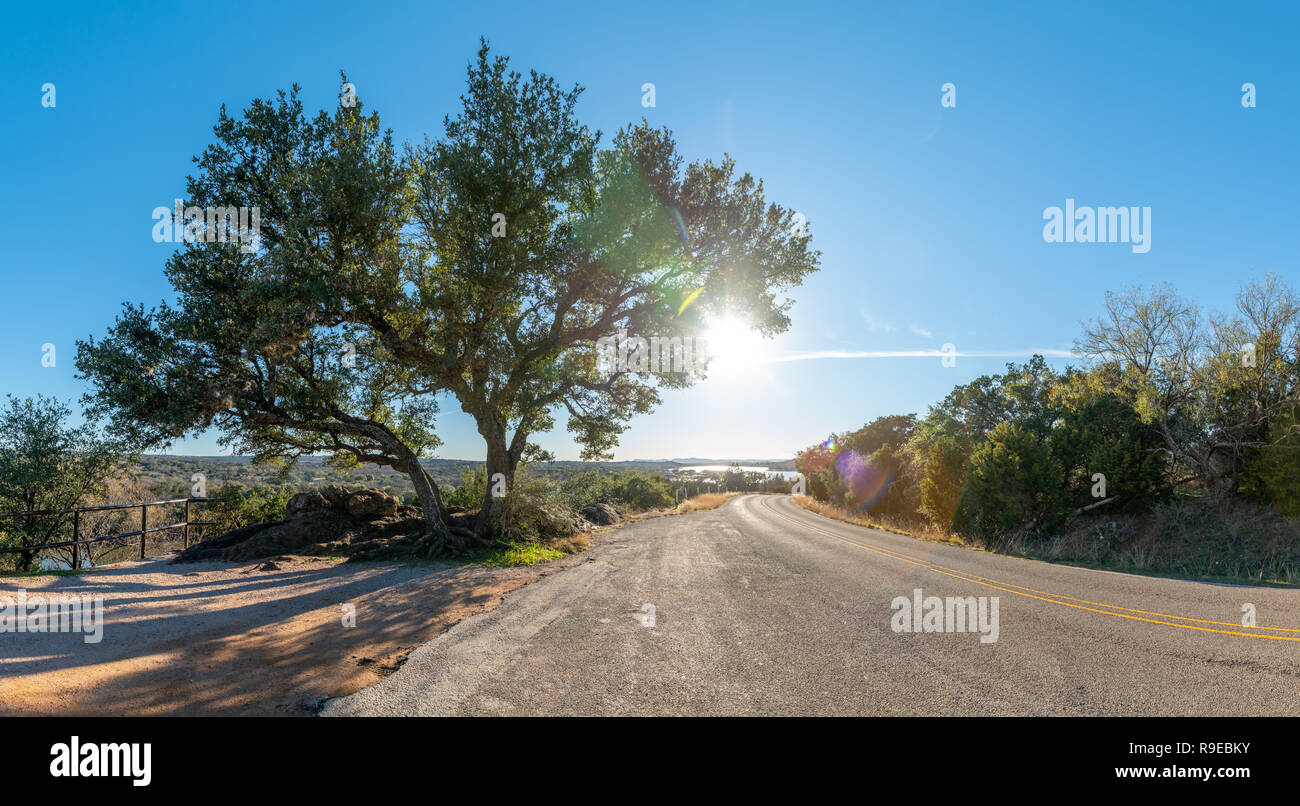 Wide Angle View of Large Tree Next To Curve to the Right Stock Photo ...
