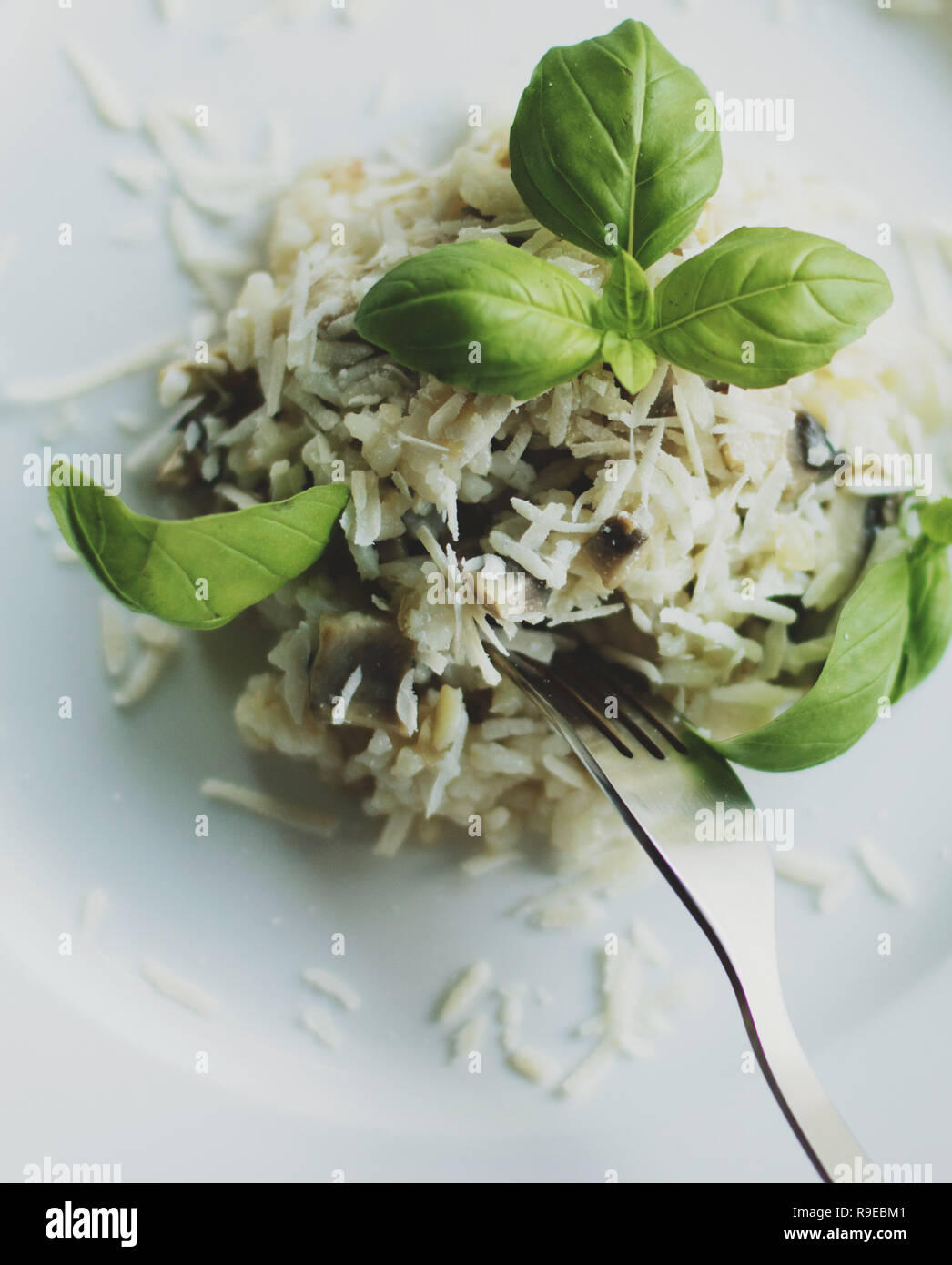 european and mediterranean cuisine styled concept - mushroom risotto ...