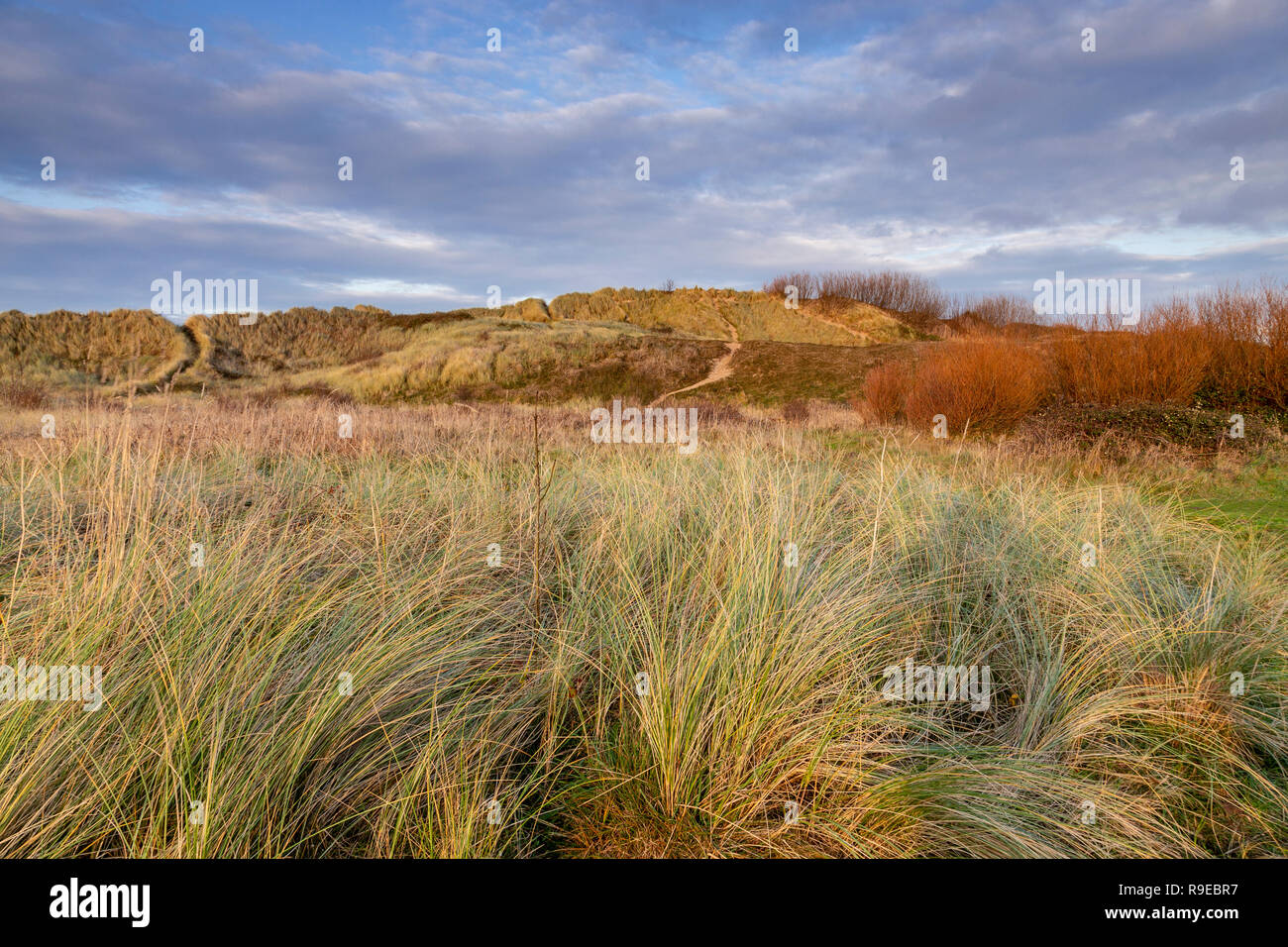 Grass covered sand dunes at Talacre on the North Wales coast Stock ...