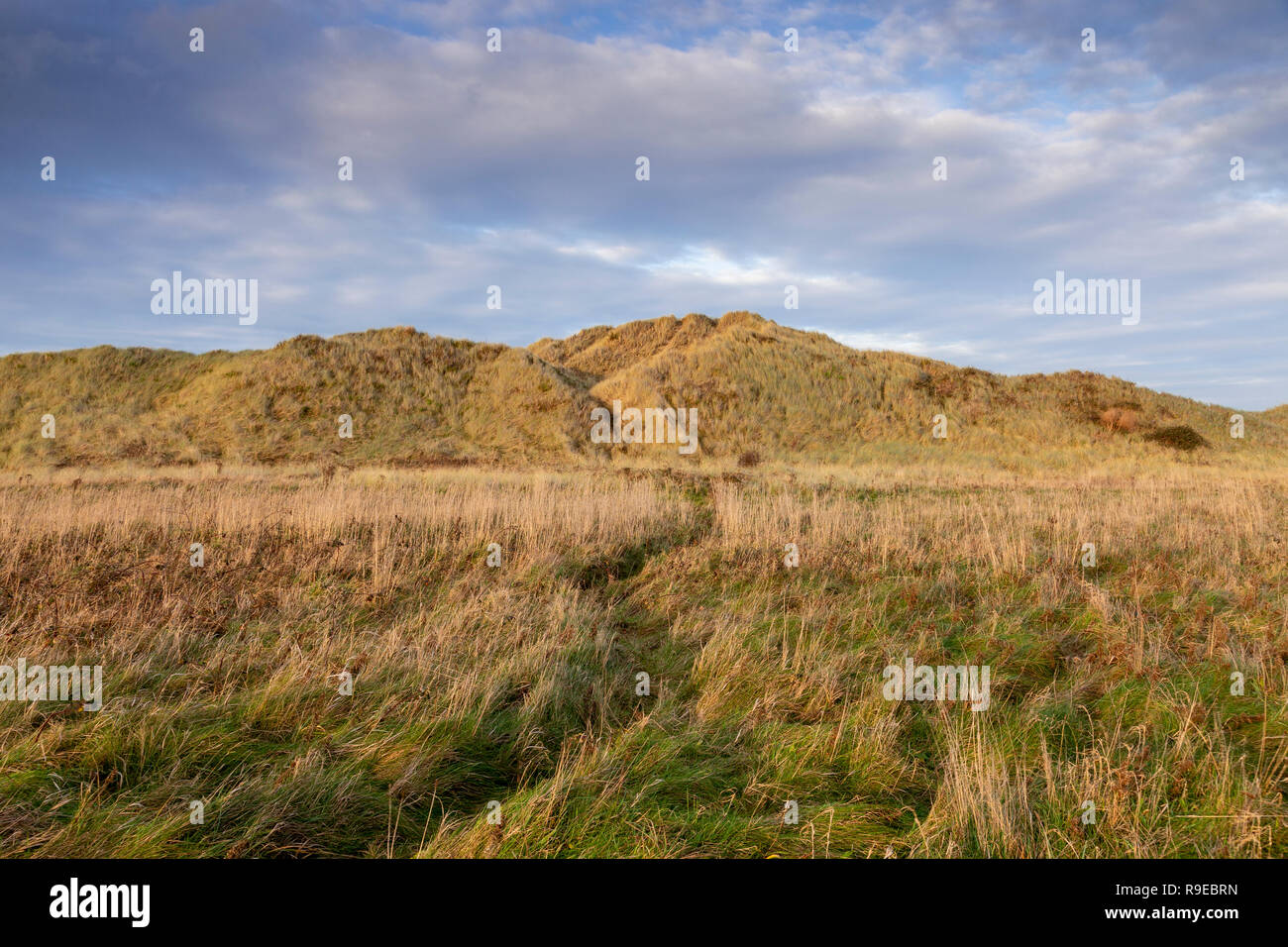 Grass covered sand dunes at Talacre on the North Wales coast Stock ...