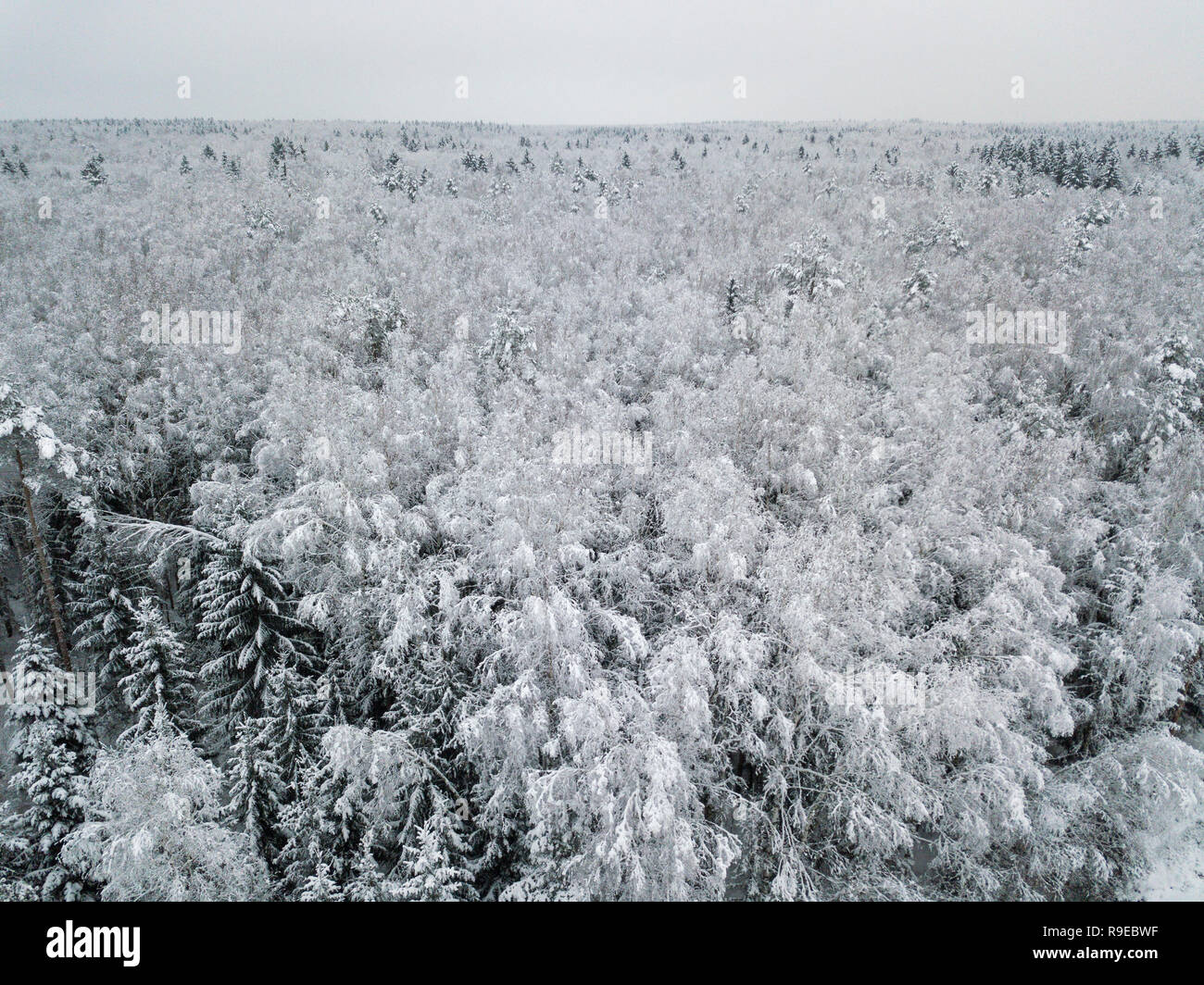 Aerial view endless forest hi-res stock photography and images - Alamy