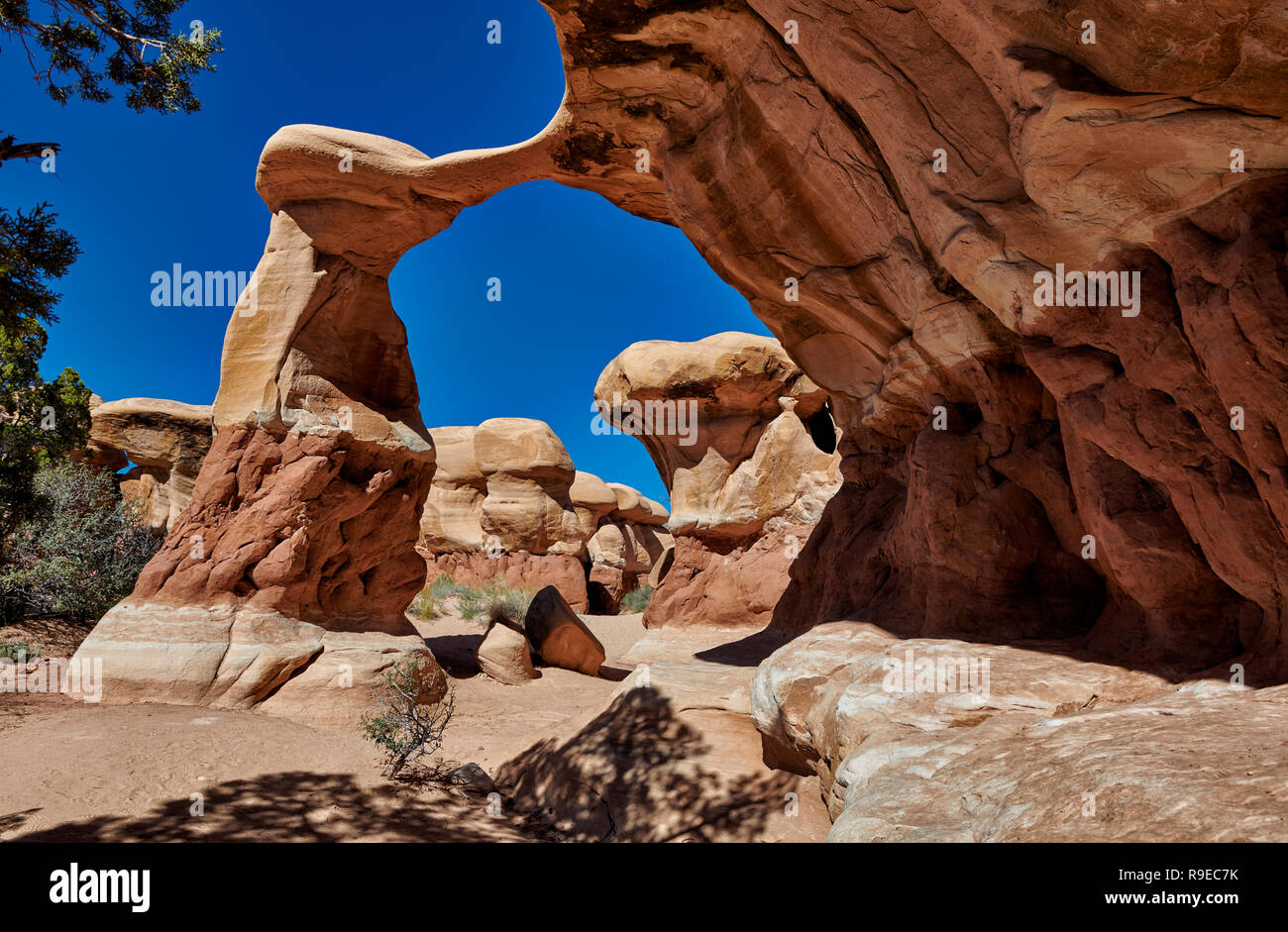Metate Arch in Devils Garden, Grand Staircase-Escalante National ...