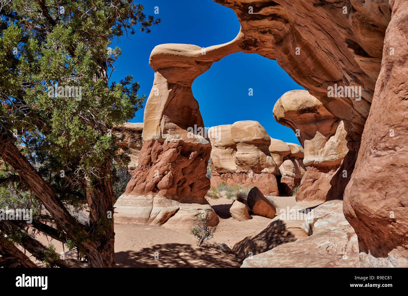 Metate Arch in Devils Garden, Grand Staircase-Escalante National ...
